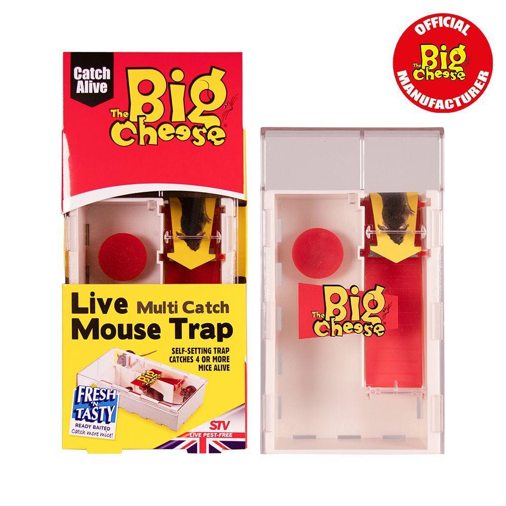 Big Cheese Live Mouse Multi Catch Trap – Bidnamic Store