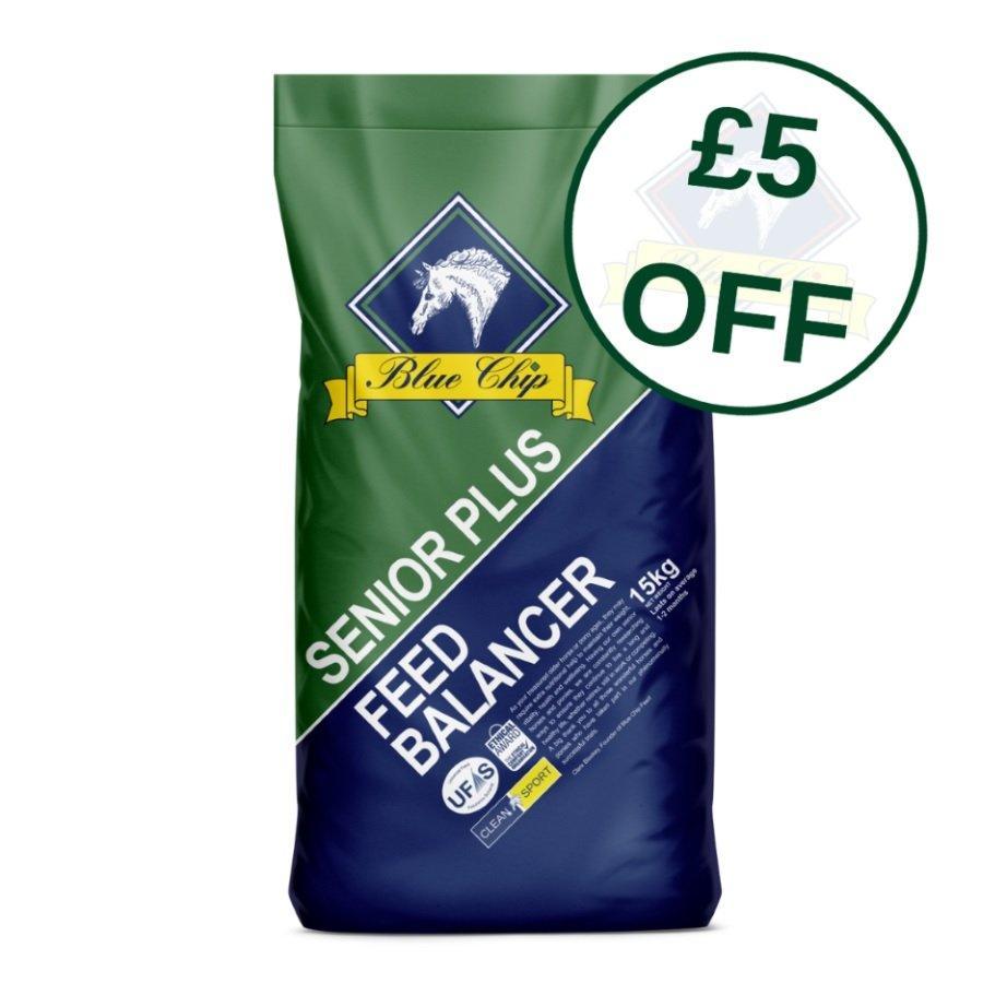 Blue Chip Senior Plus £5 Off – Bidnamic Store