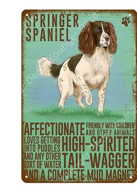 Springer Spaniel Dog Tin Sign – Bidnamic Store